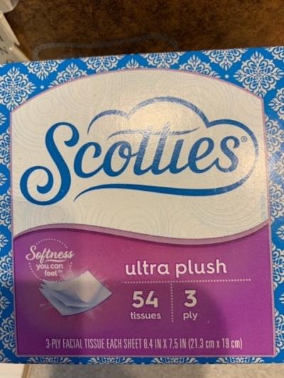 Baltimore Jewish Life | Shabbos Alert: Scotties Tissue Cube